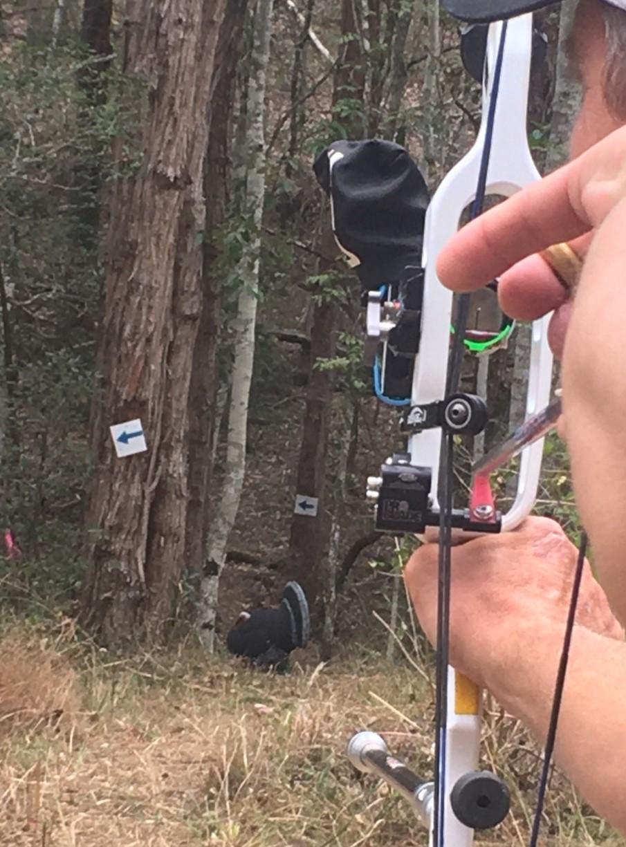 3D Archery Association of Australia | 3DAAA Record Scores - Archived