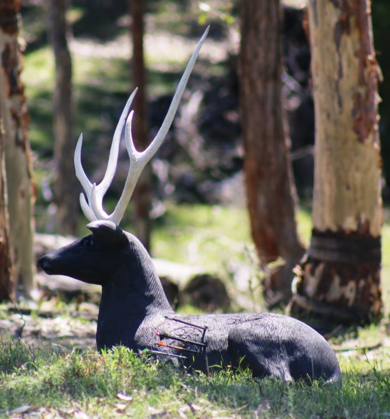 3D Archery Association of Australia | 3DAAA Record Scores - Archived